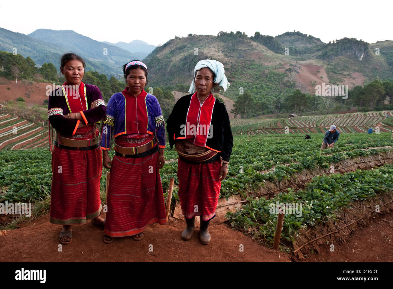 Palaung hi-res stock photography and images - Alamy