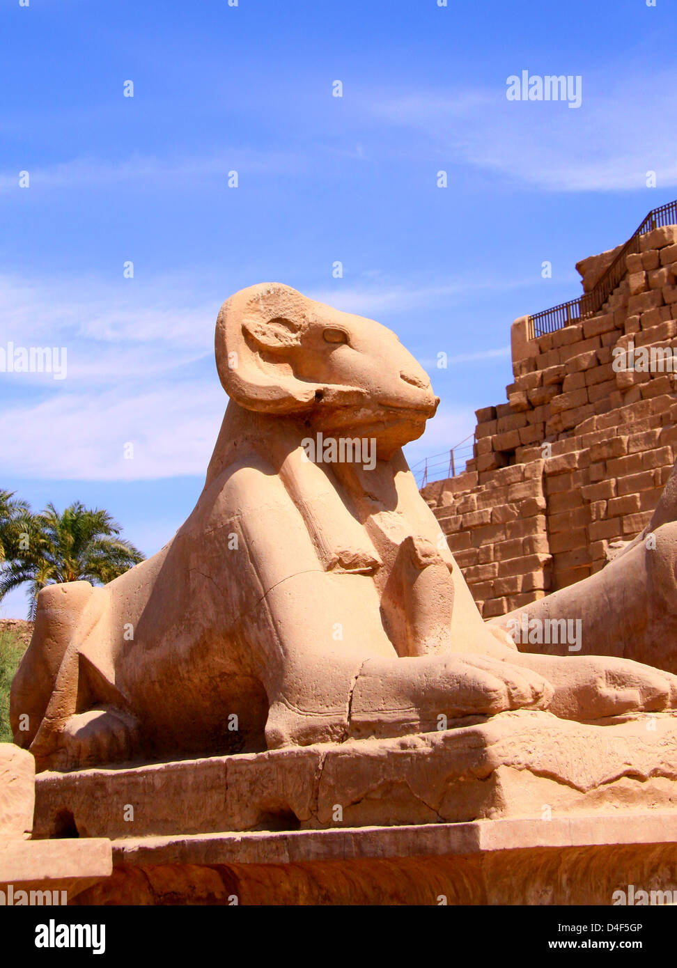 God ram hi-res stock photography and images - Alamy