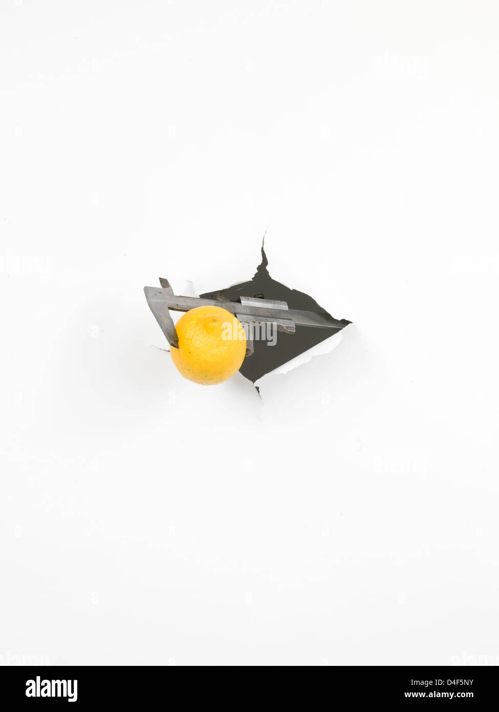 close-up of metal calliper measuring a whole lemon coming out from a ...