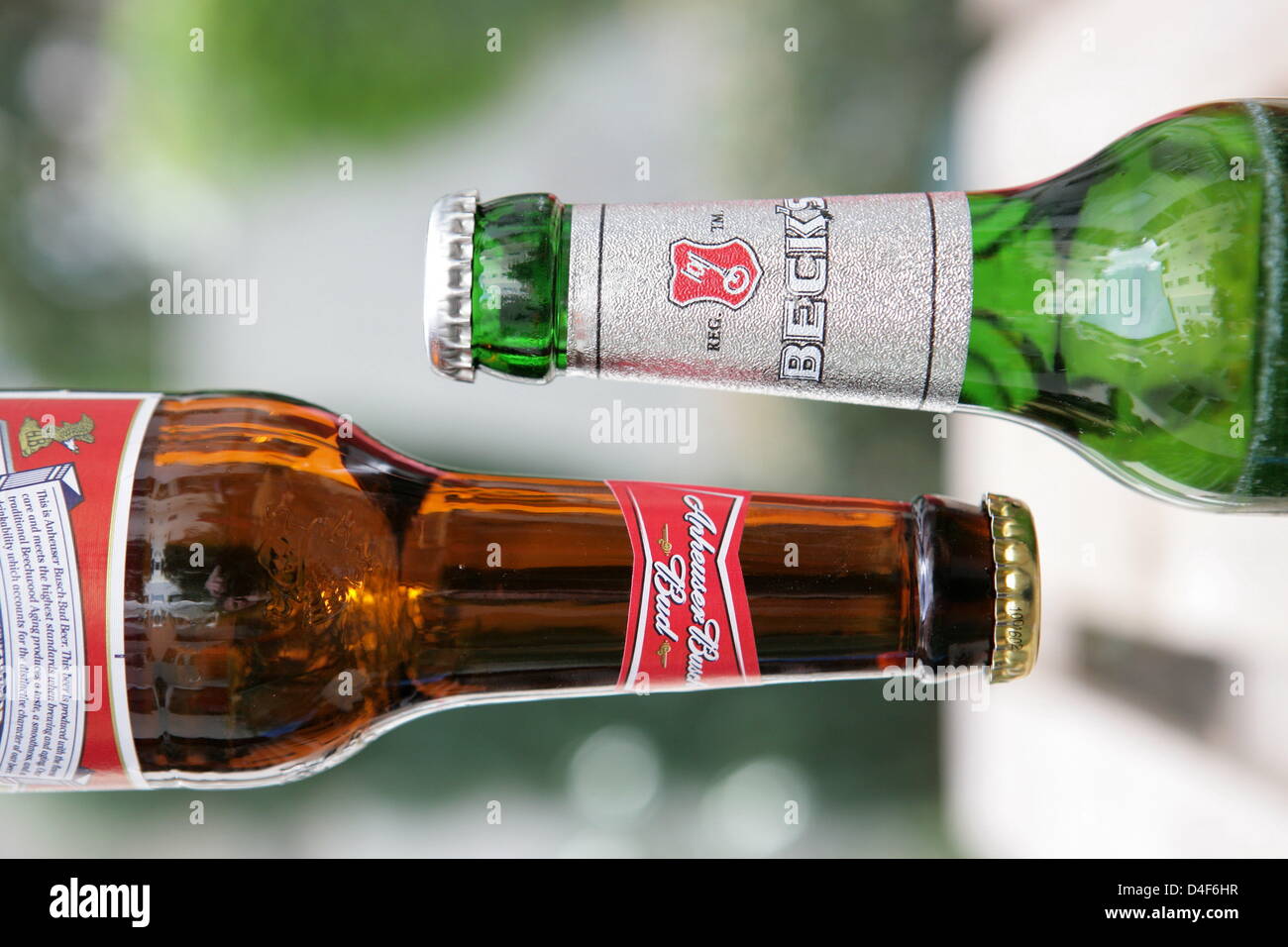 A bottle of US beer 'Bud' of the Anheuser-Busch brewery is pictured ...