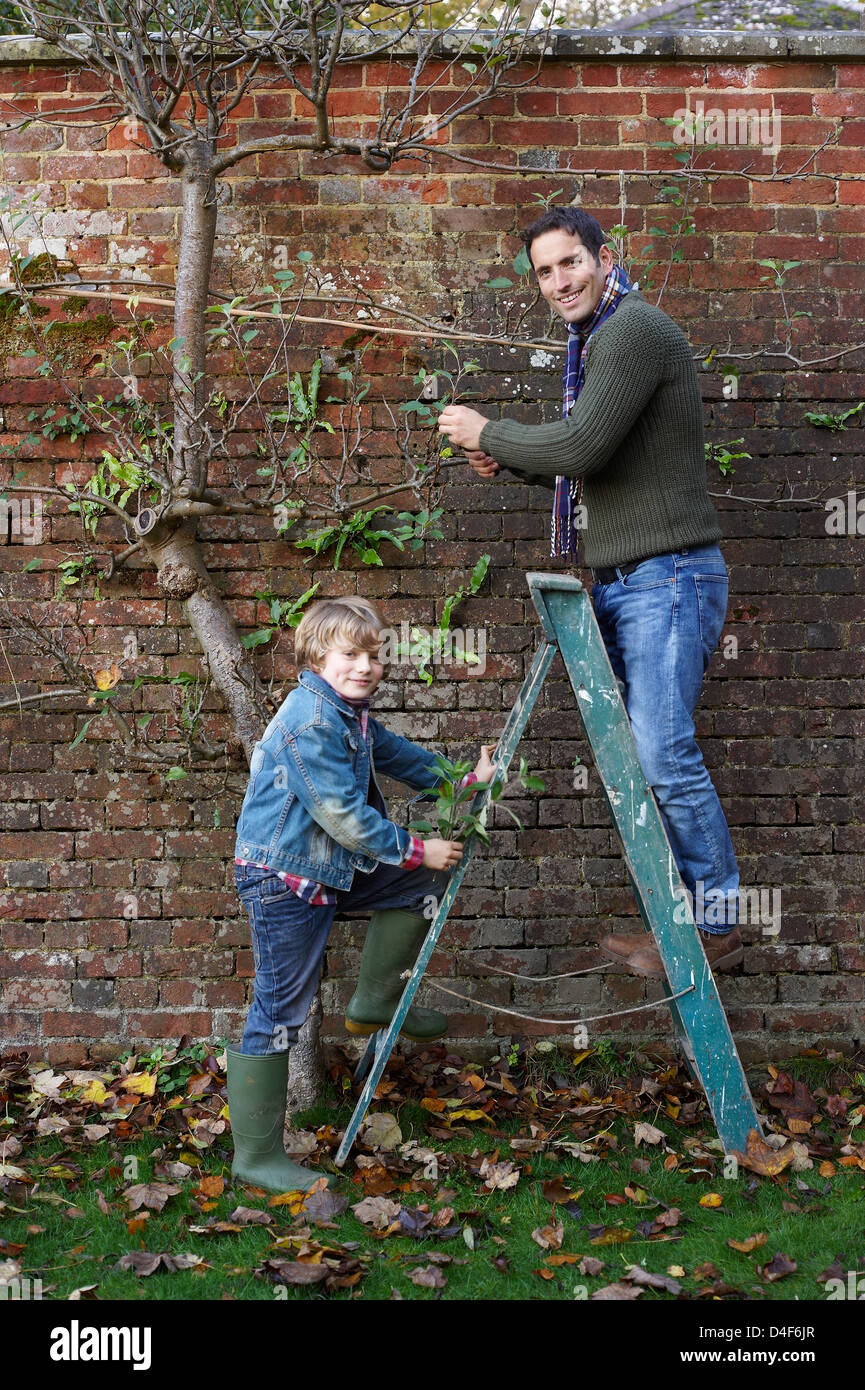 Father and son working in garden Stock Photo - Alamy
