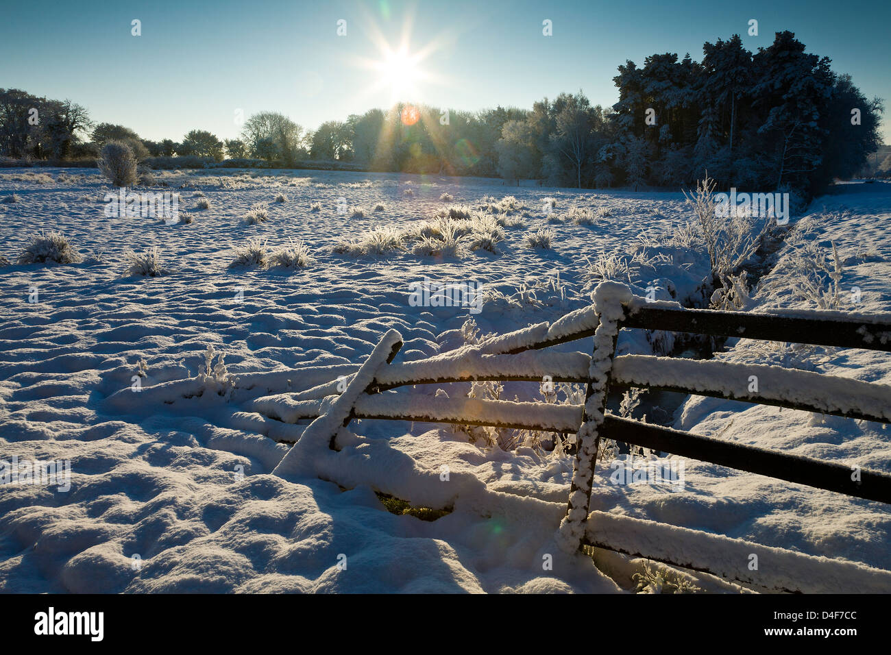 Sunlit pasture hi-res stock photography and images - Alamy