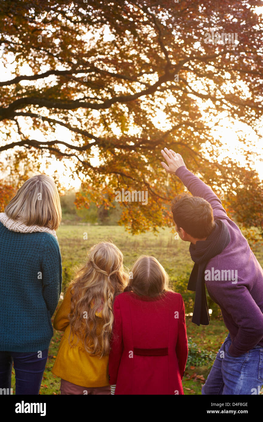 Family admiring autumn leaves in tree Stock Photo - Alamy