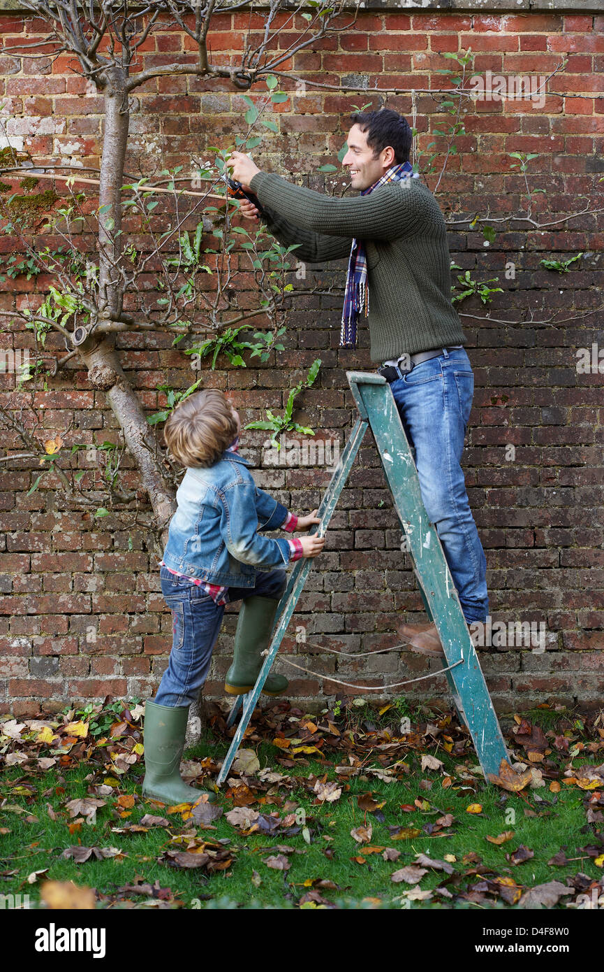 Father and son working in garden Stock Photo - Alamy