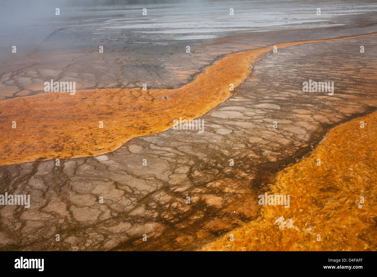 Rock formations in hot spring Stock Photo - Alamy