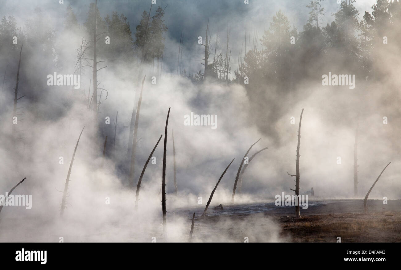 Steam rising from hot spring Stock Photo - Alamy