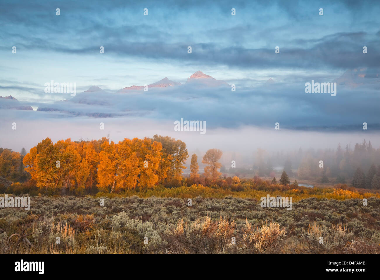 Mist rural hi-res stock photography and images - Alamy
