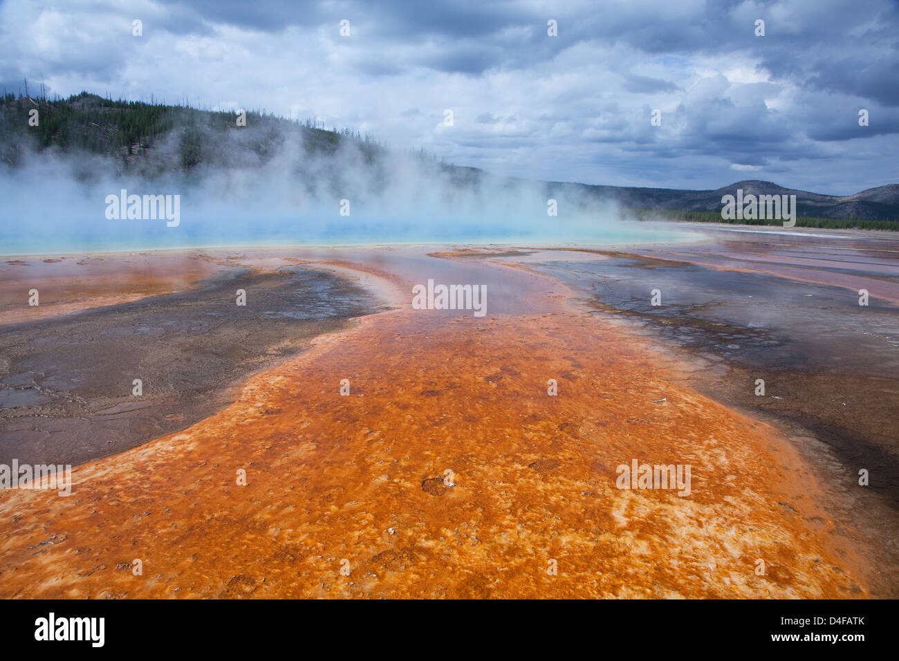 Steam rising from hot spring Stock Photo - Alamy
