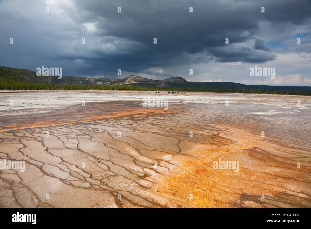 Expanse of negative space hi-res stock photography and images - Alamy