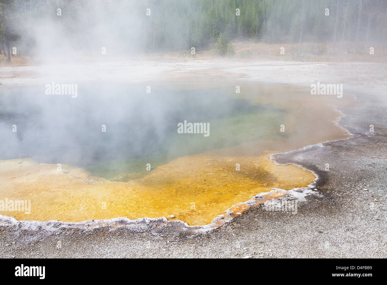 Steam rising from natural pool Stock Photo - Alamy