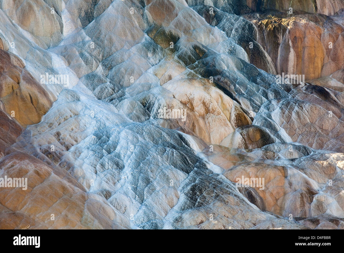 Spring formation hi-res stock photography and images - Alamy