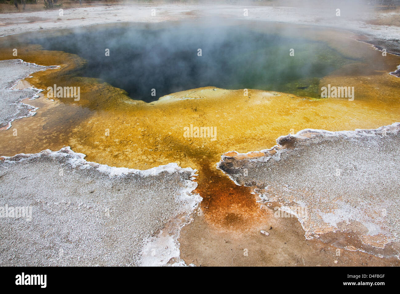 Steam rising from natural pool Stock Photo - Alamy