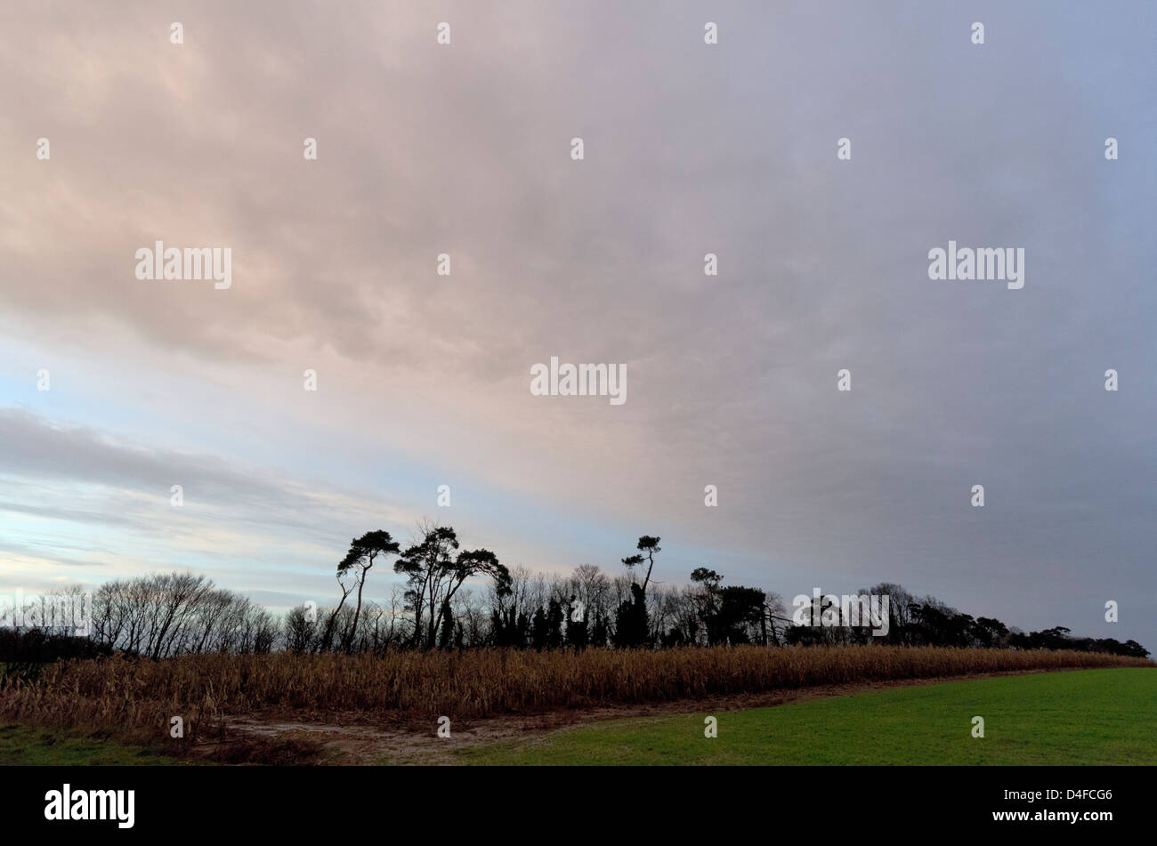 Cloud boundary hi-res stock photography and images - Alamy