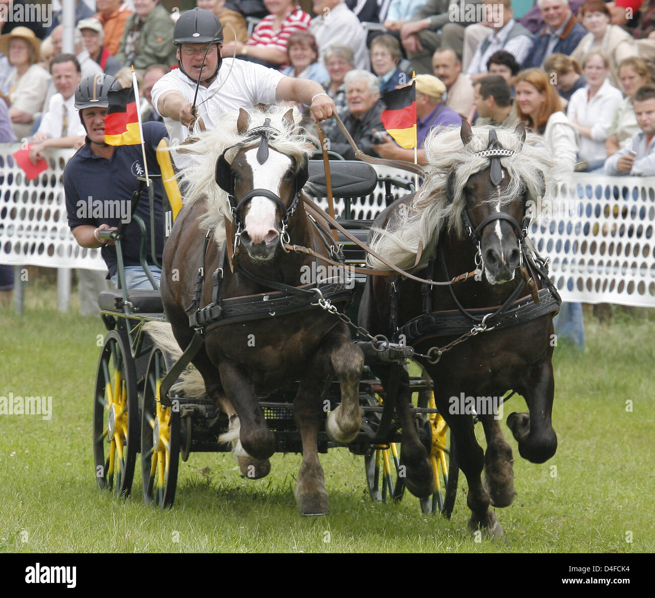 The German team is pictured during the carriage and pair run of the ...