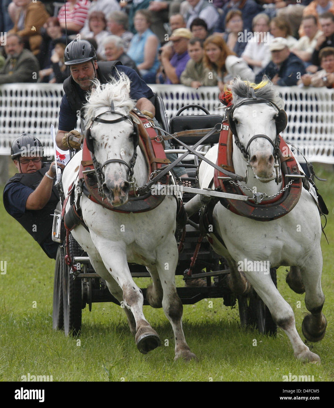 An unidentified team is pictured during the carriage and pair run of ...