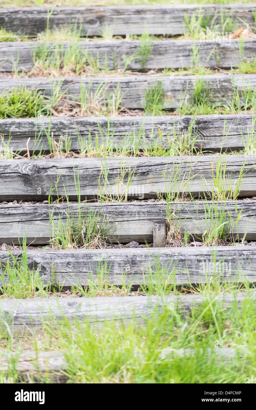 Park trails with stairs hi-res stock photography and images - Alamy