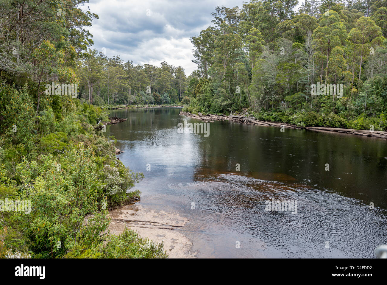 Tasmania forest river hi-res stock photography and images - Alamy