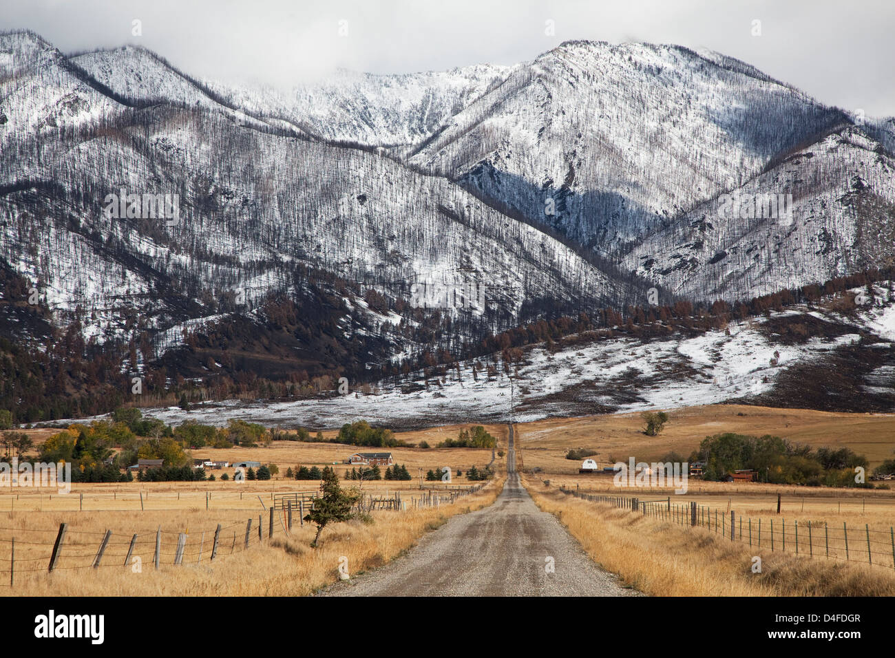 White dirt road leading hi-res stock photography and images - Alamy