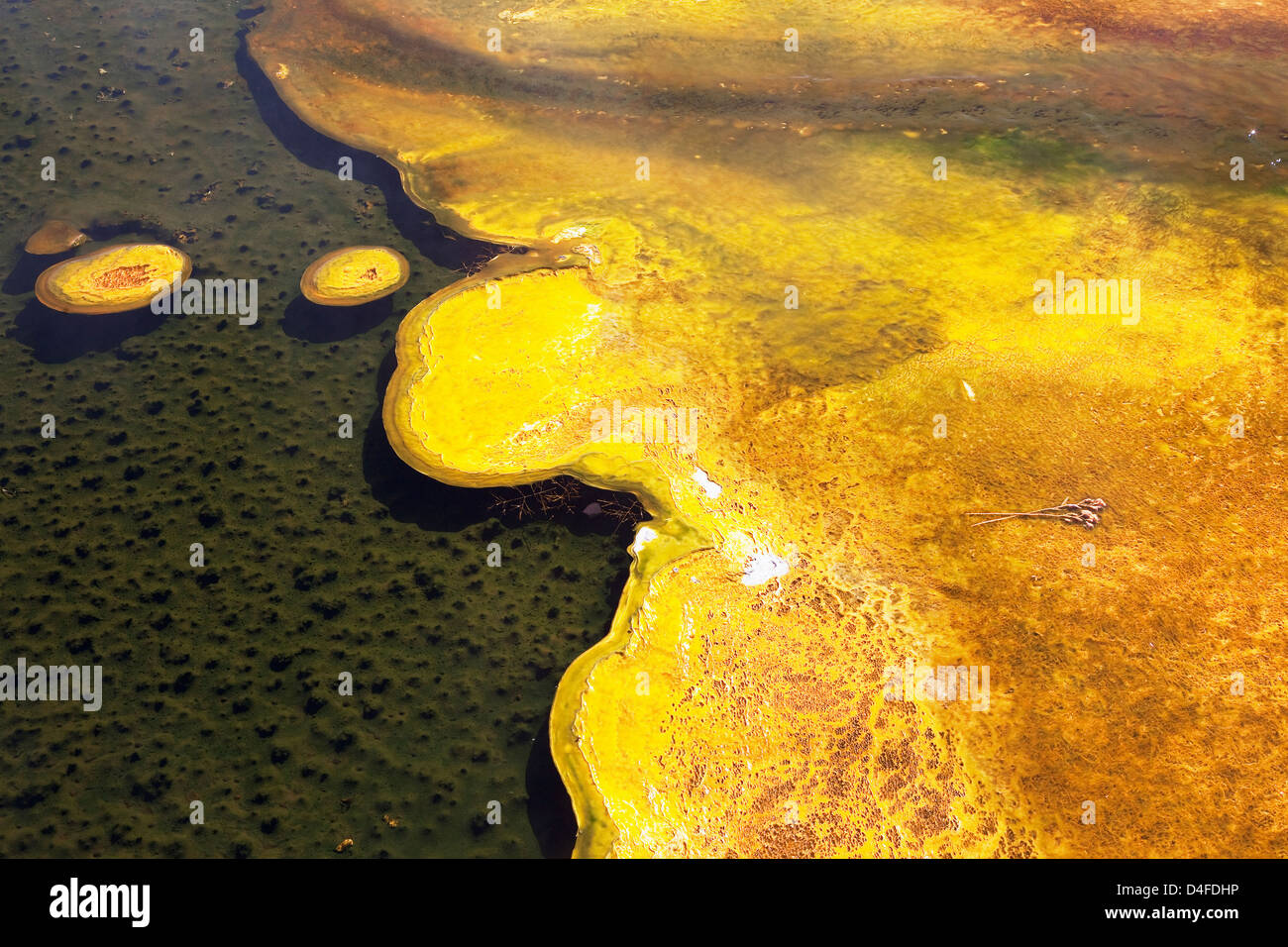 Close up in rock pool hi-res stock photography and images - Alamy