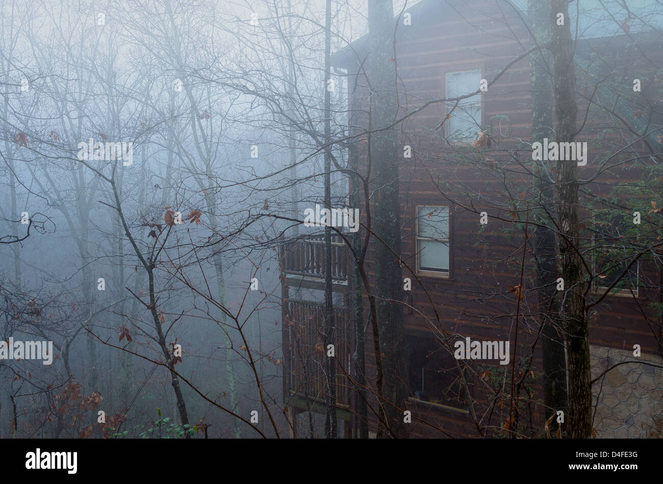 View of a cabing log during a foggy morning in the Smoky Mountains in ...