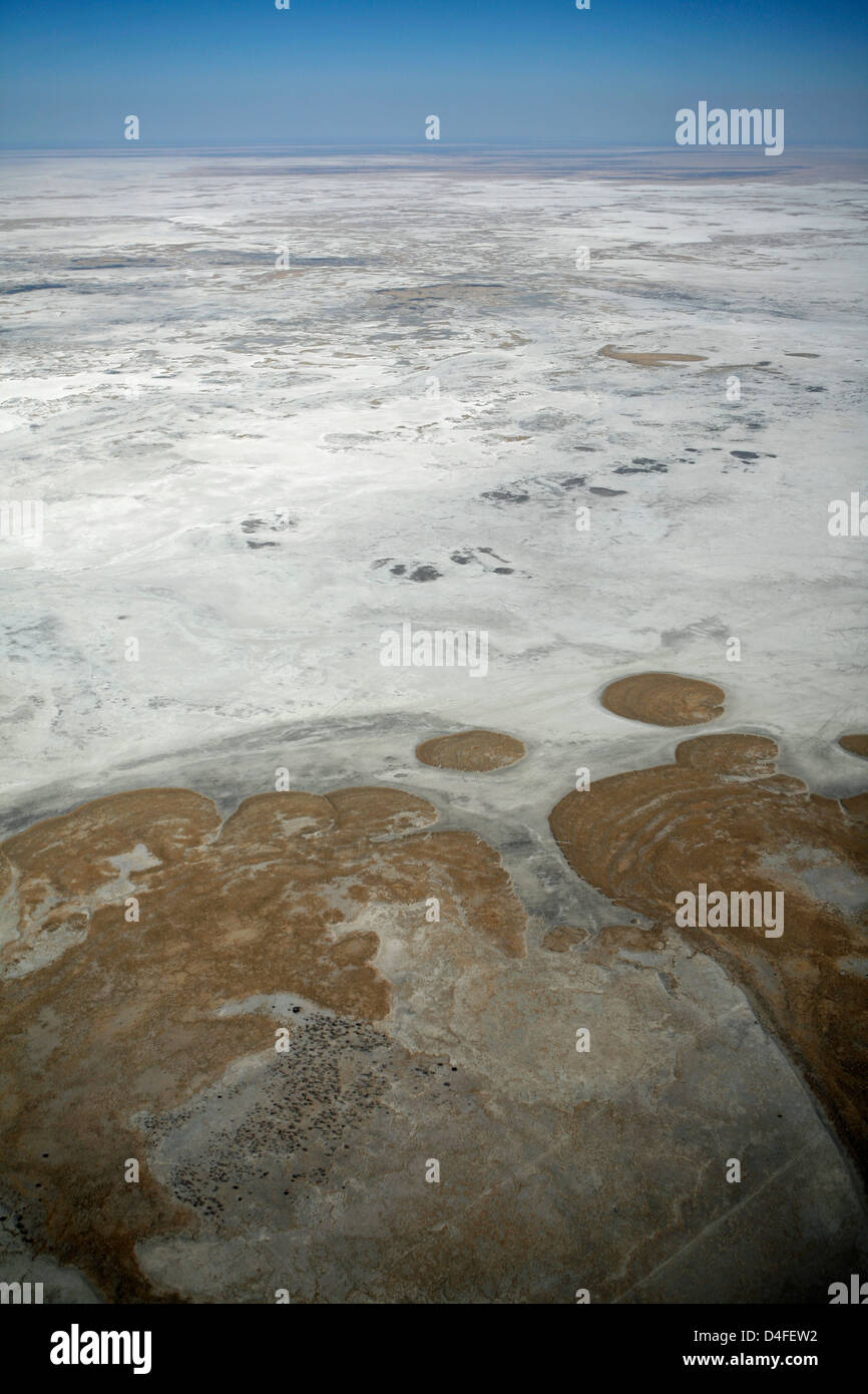 Nxai pan kalahari salt pans hi-res stock photography and images - Alamy