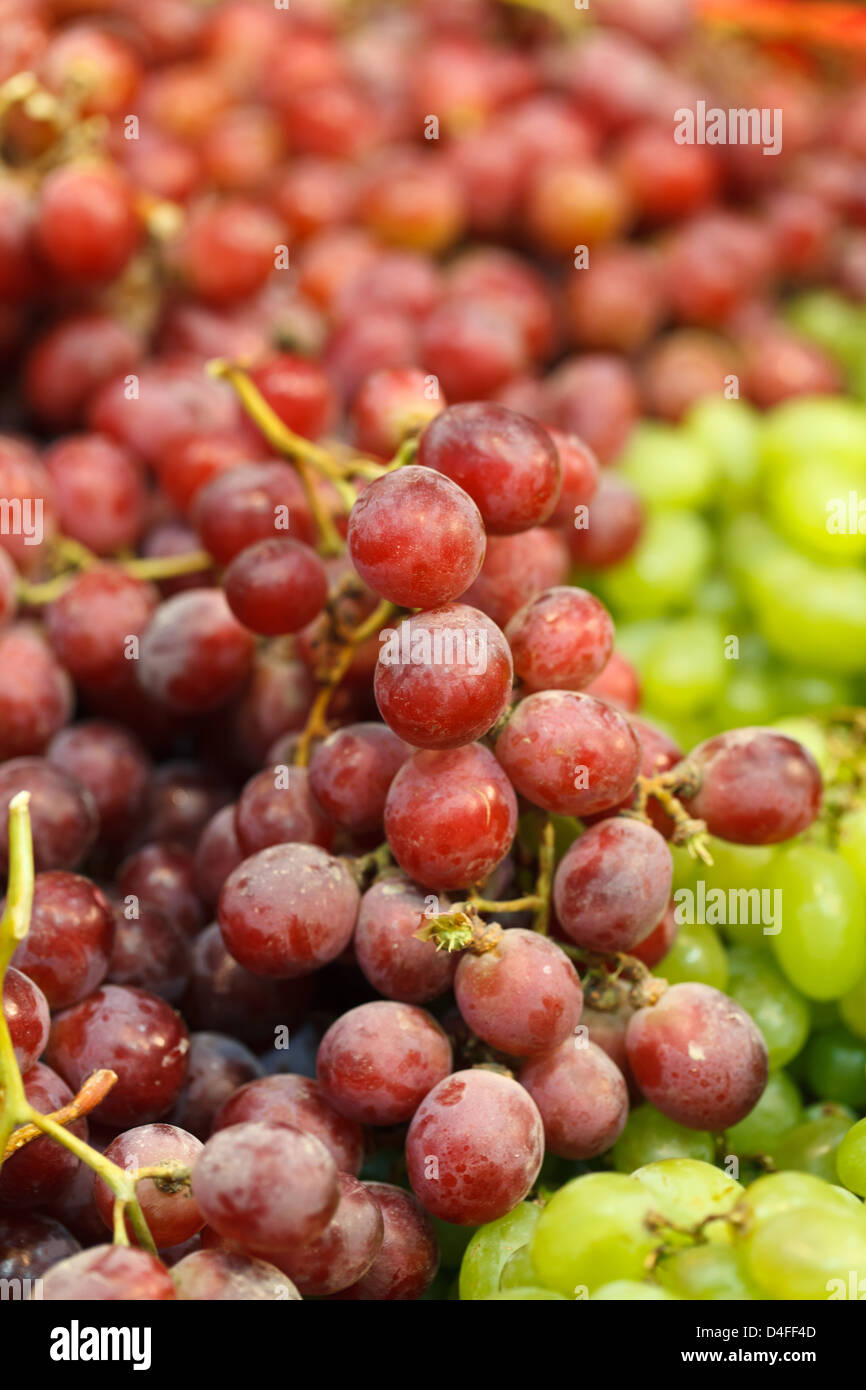 Berlin, Germany, grapes at Fruit Logistica 2011 Stock Photo - Alamy