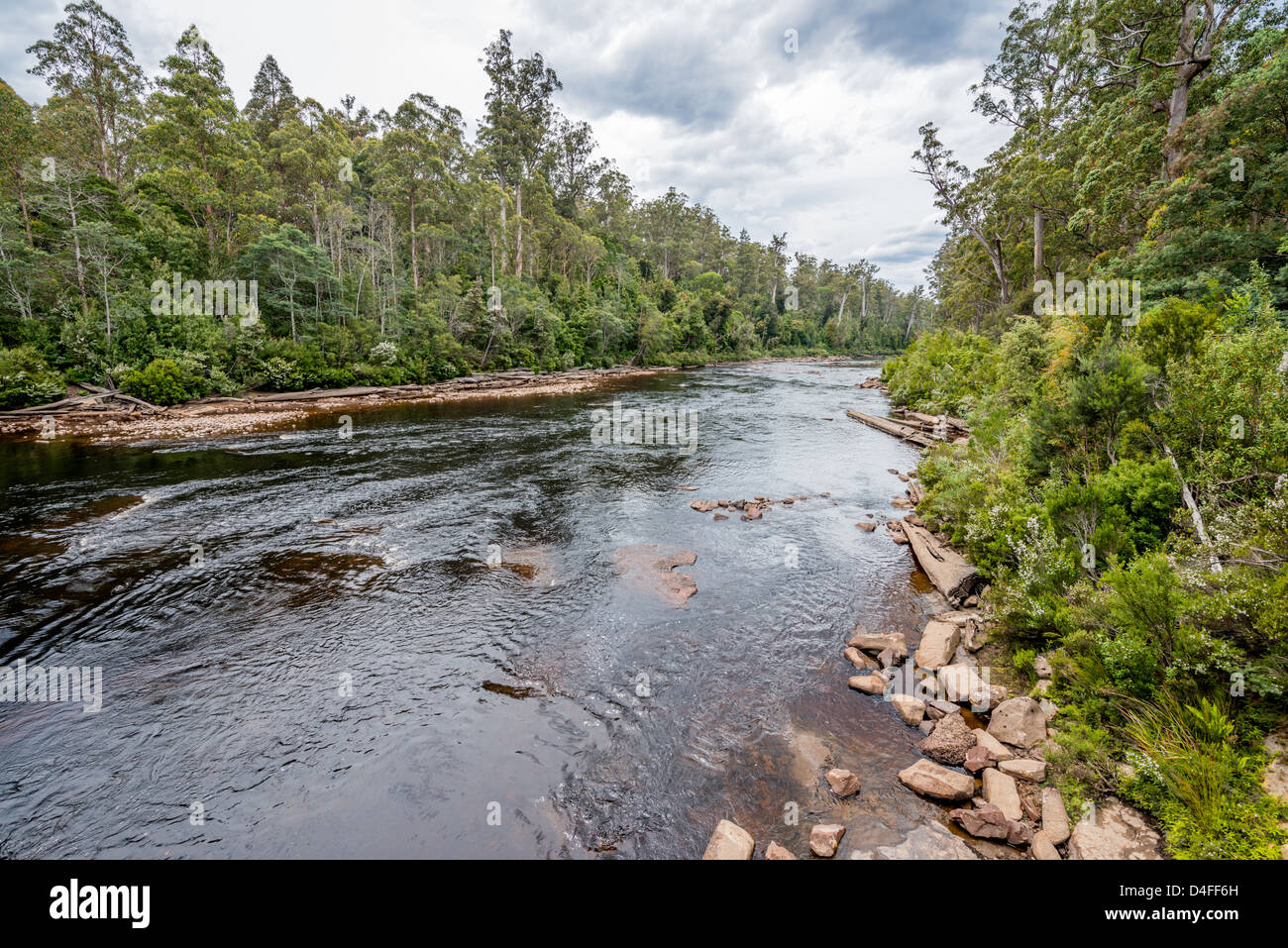 The spectacular Huon river and forest near the Tahune Forest. Geeveston ...