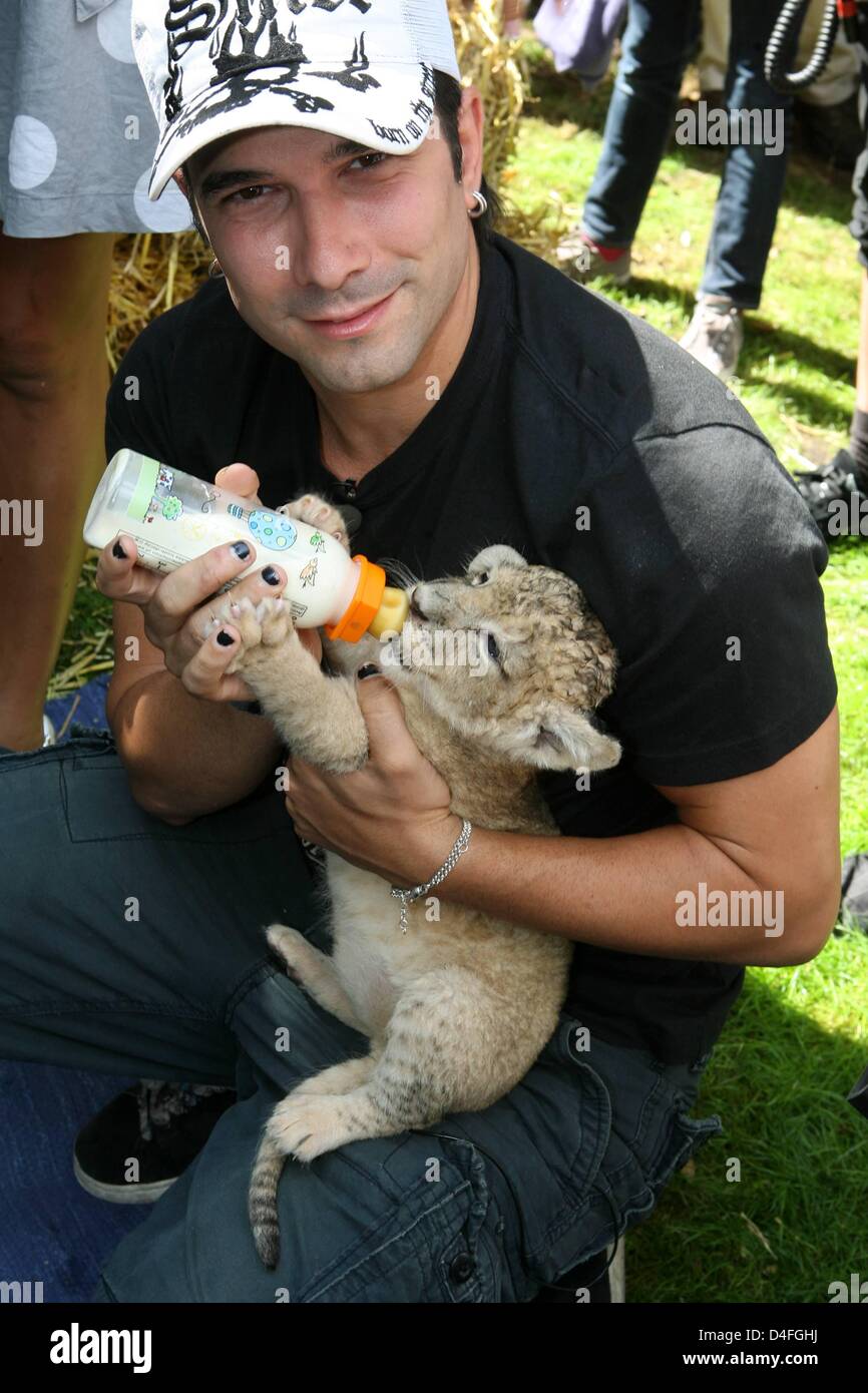 US singer Marc Terenzi (R) poses with four lion cubs baptised at ...