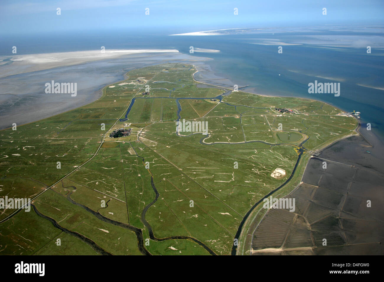 Holm hooge hi-res stock photography and images - Alamy