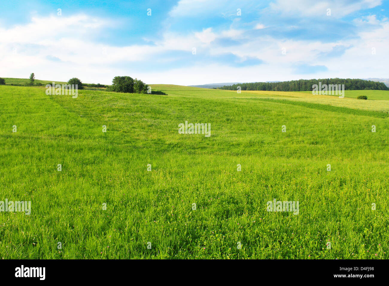 An empty meadow lane hi-res stock photography and images - Alamy