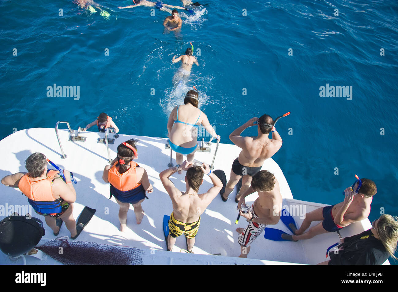 People swimming in the Red Sea Stock Photo - Alamy