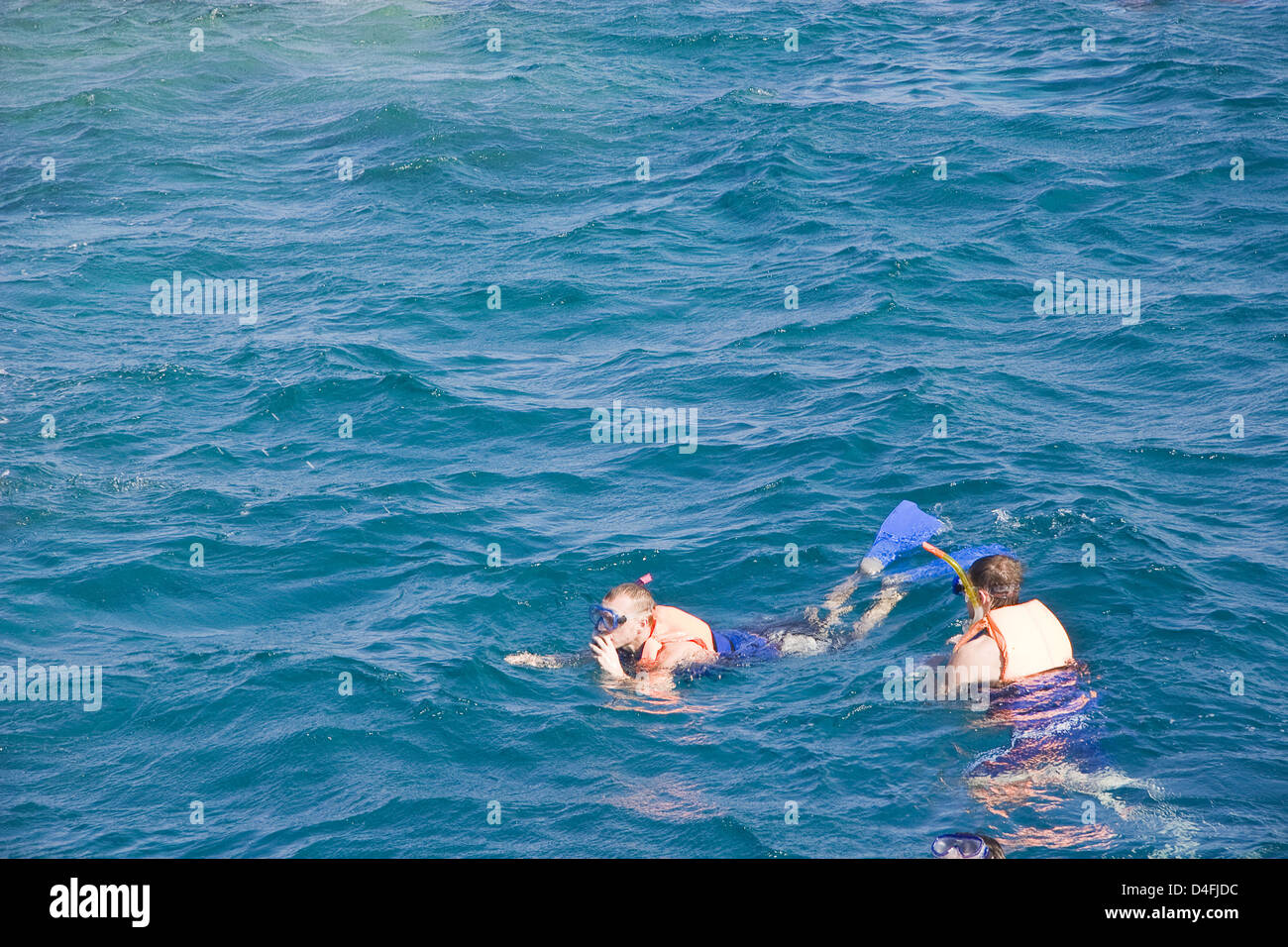 People swimming in the Red Sea Stock Photo - Alamy