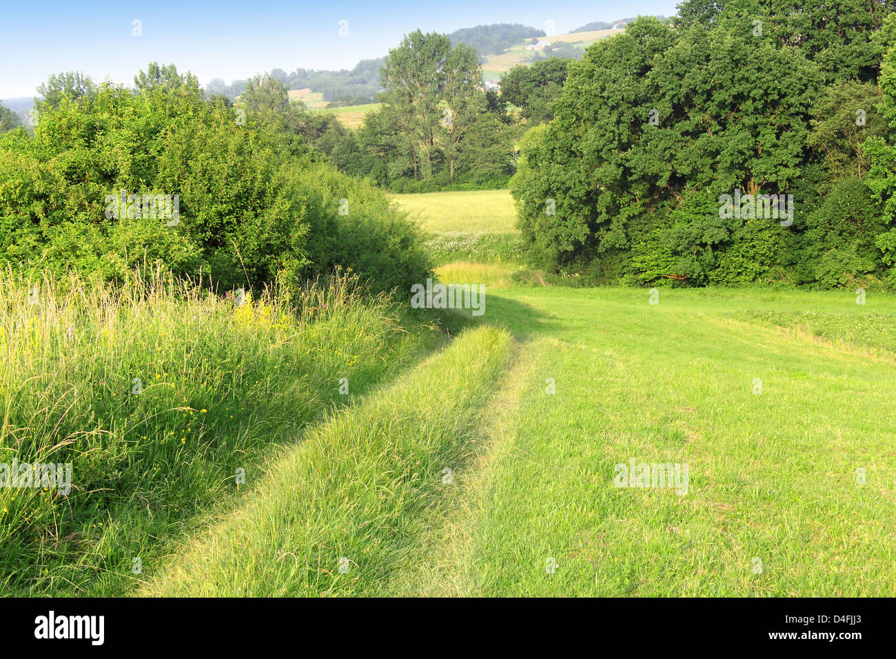 green landscape, meadow, path, trees Stock Photo - Alamy