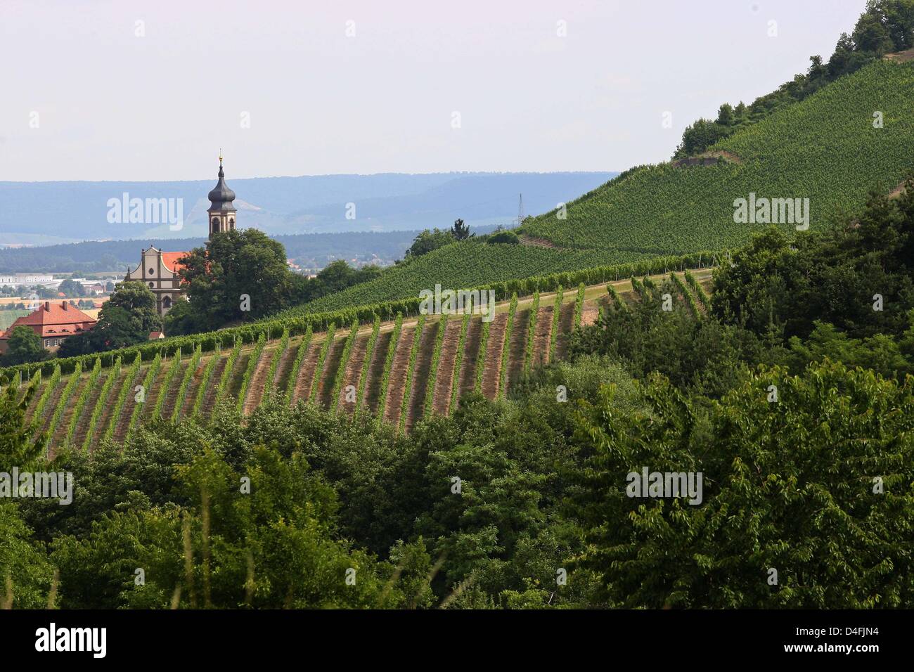 Steigerwald vineyard hi-res stock photography and images - Alamy