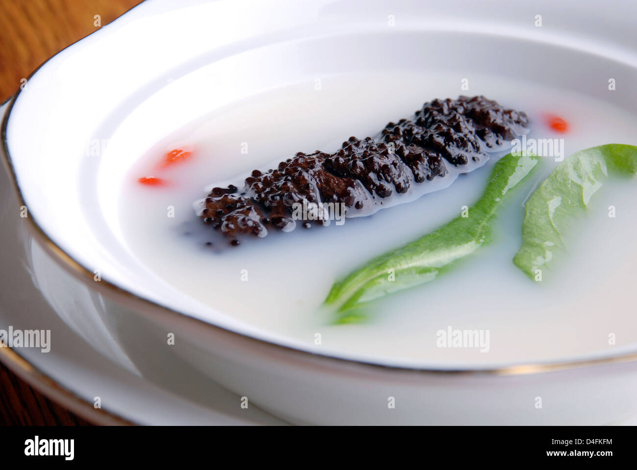 Slug food hi-res stock photography and images - Alamy