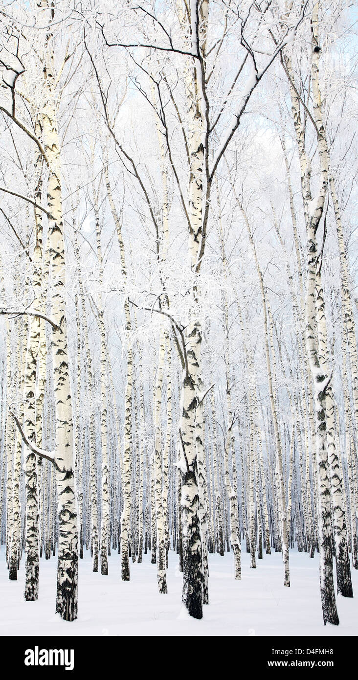 Beautiful grove hi-res stock photography and images - Alamy