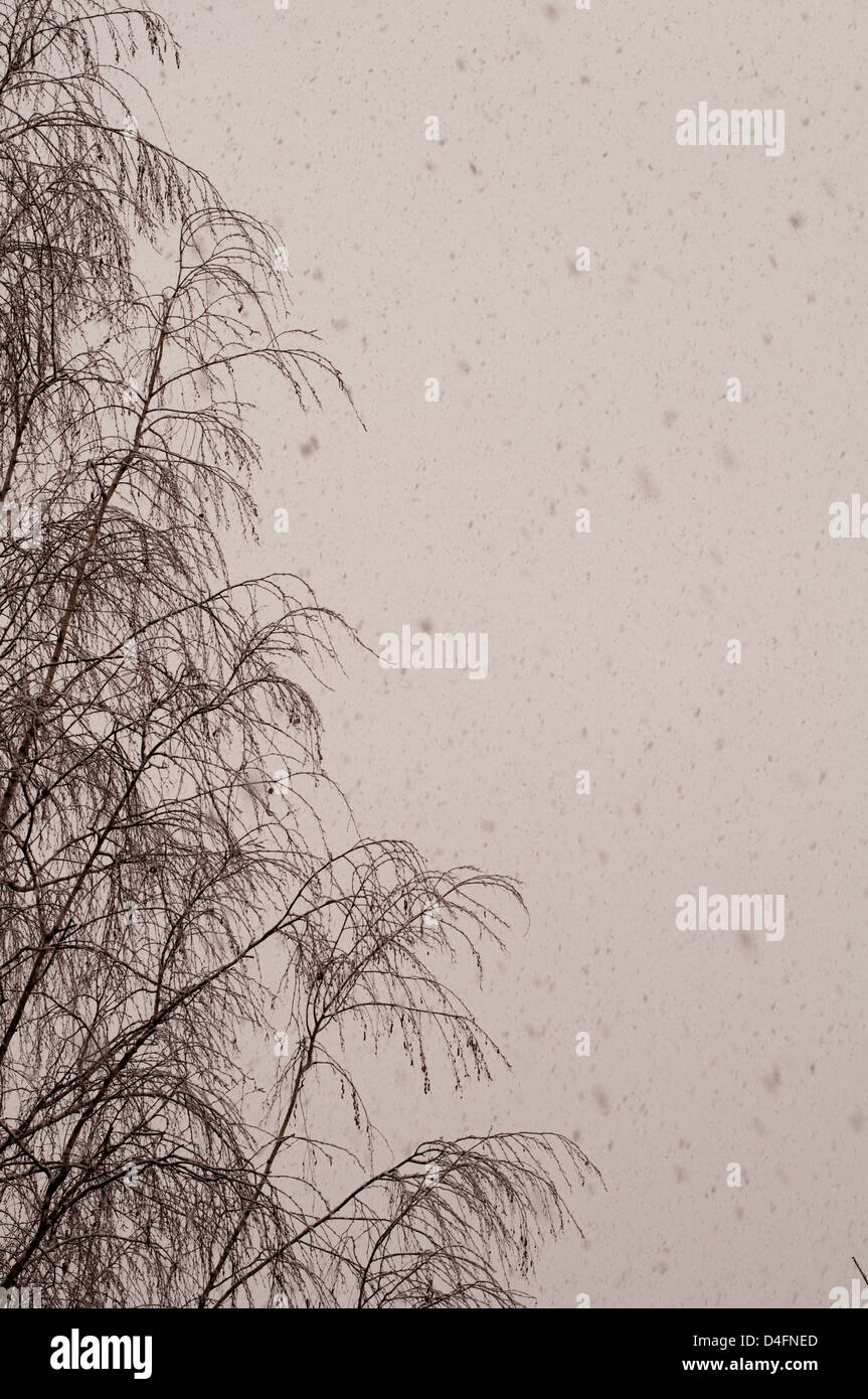 Big snowing hi-res stock photography and images - Alamy