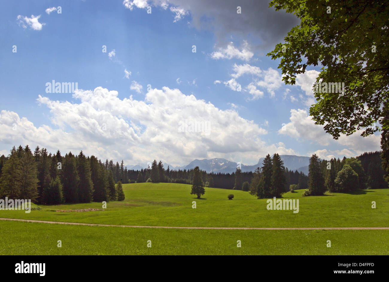 The photo shows a typical Allgaeu landscape near Nesselwang, Germany ...