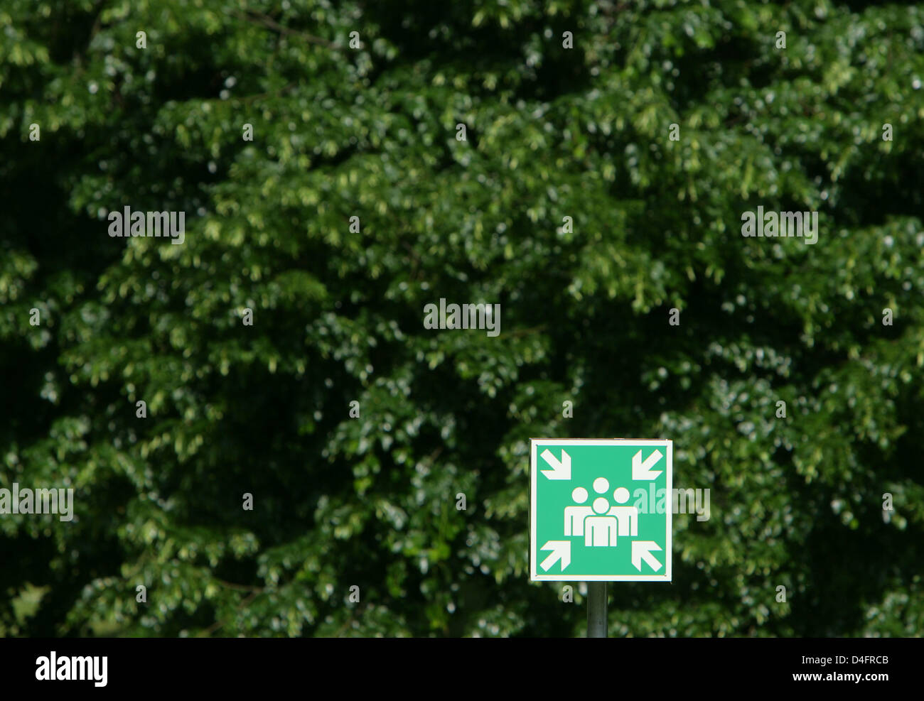 A meeting point sign seen in front of green tree leaves in Bonn ...