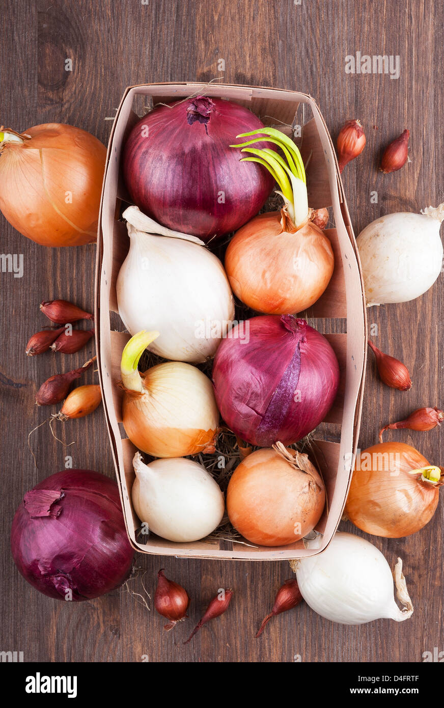 Different varieties of onions Stock Photo - Alamy
