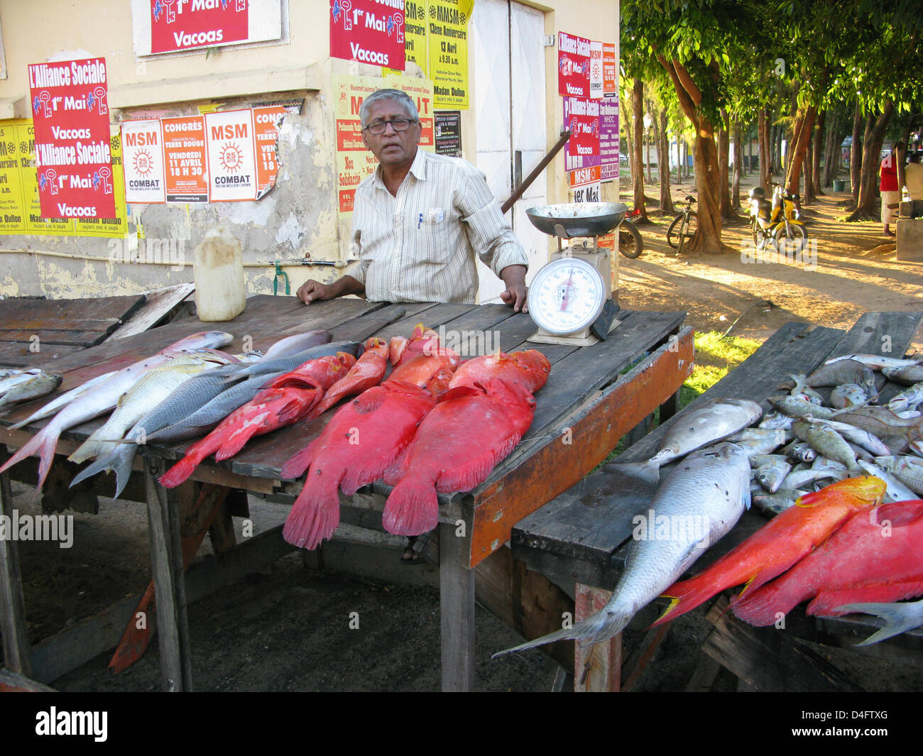 The photo shows a fish vendor in Grand Baie on Mauritius, 10 April 2008 ...