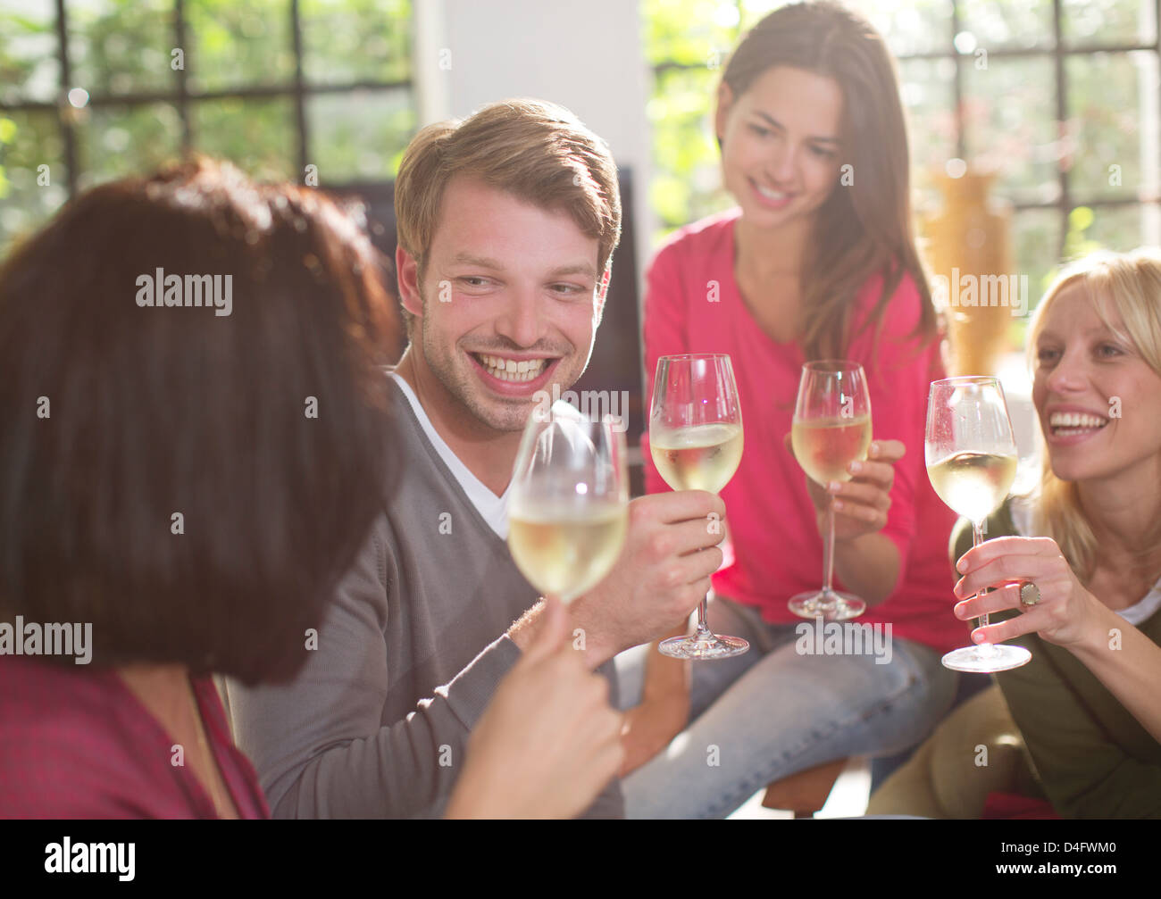 Friends toasting each other with wine Stock Photo - Alamy