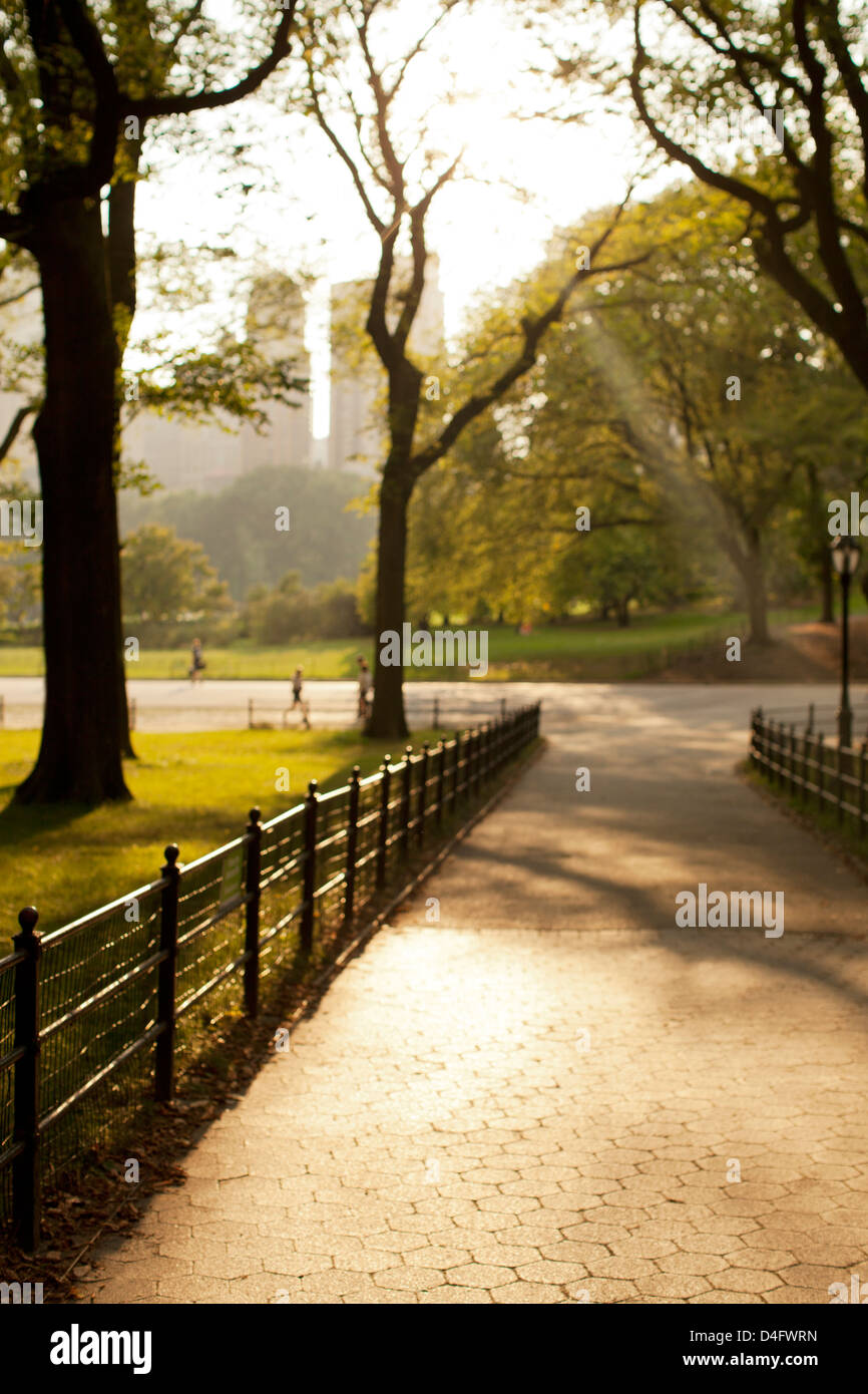 Trees growing in urban park Stock Photo - Alamy