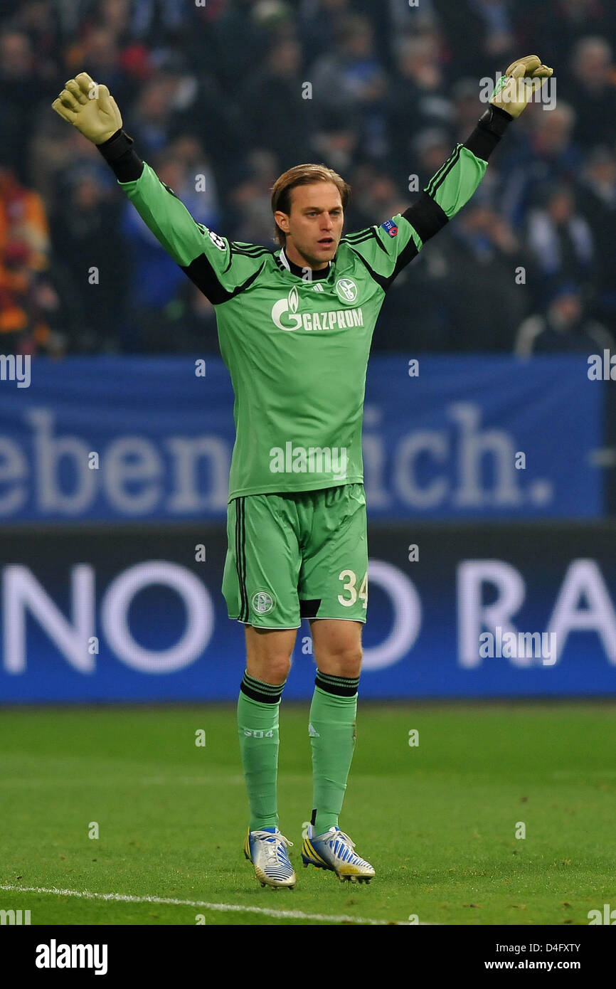 Schalke's goalkeeper Timo Hildebrand gestures during the UEFA Champions ...