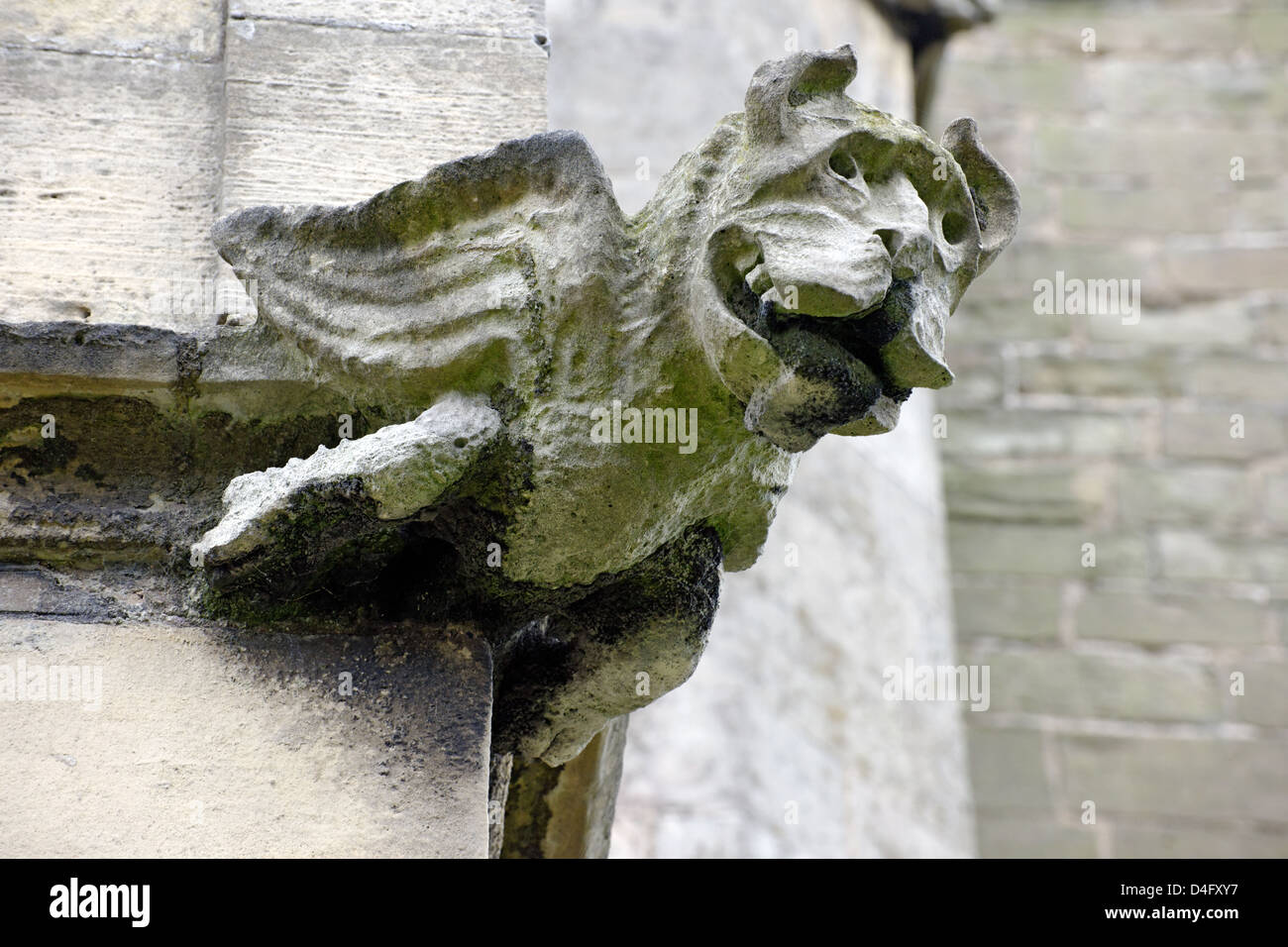 Grotesque stone head on the wall of Our Lady and St Peter Church ...