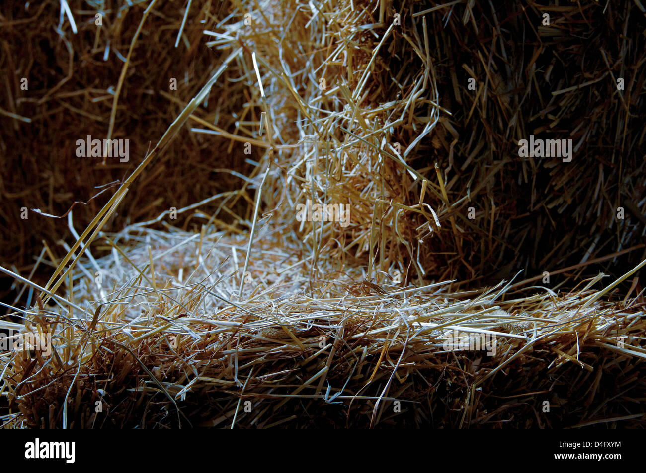 Stacked square bales of Hay in barn close up with baler twine visible ...