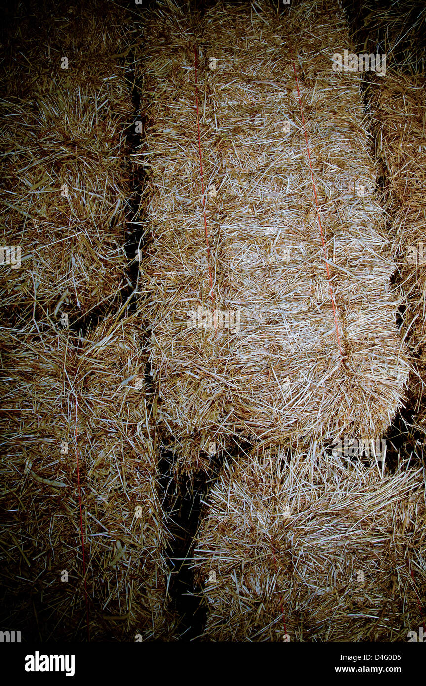 Stacked square bales of Hay in barn close up with baler twine visible ...