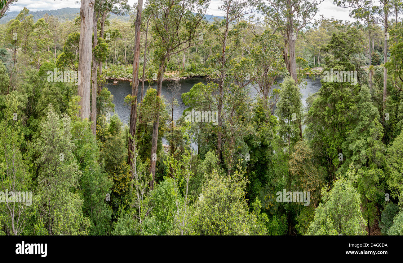 A bird's eye view of the spectacular Huon river and forest from the ...