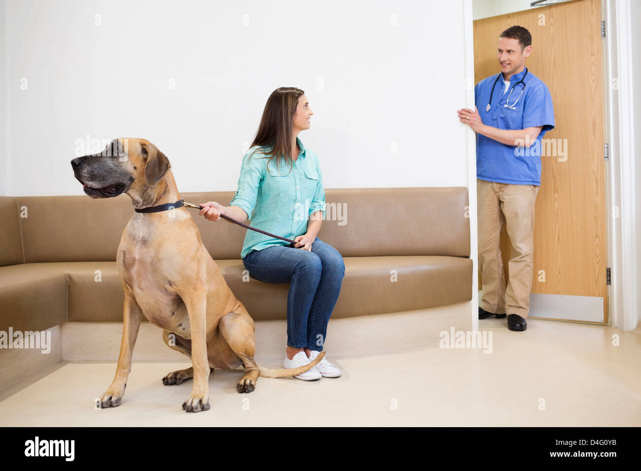 Veterinarian calling owner and dog into vet's surgery Stock Photo - Alamy