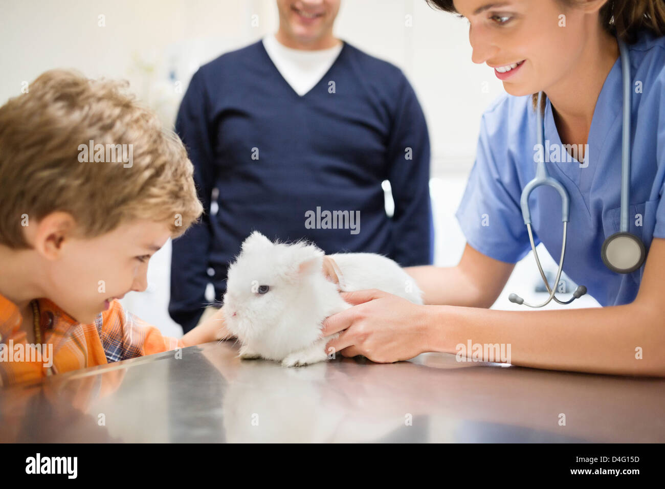 Veterinarian and owner examining rabbit in vet's surgery Stock Photo ...